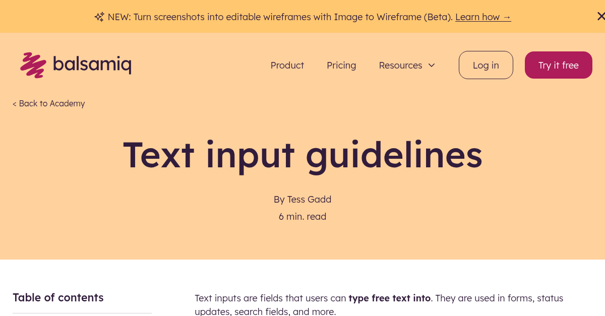 Text input guidelines